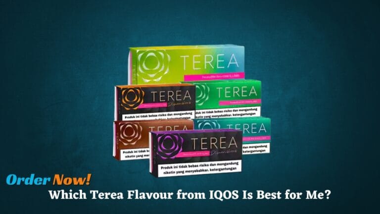 What IQOS Terea Flavour Is Right for Me?
